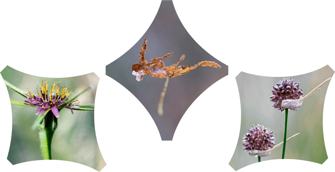 Home - Elmore Creates